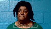 Recent Booking / Mugshot for JENNIFER ANN ALSTON in Halifax County ...