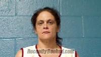 Recent Booking / Mugshot for KATHERINE NICOLE BROOKS in Halifax County ...