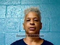 Recent Booking / Mugshot for SYNTHIA DIANE DAVIS in Halifax County ...