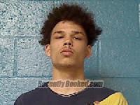 Recent Booking / Mugshot for CEPHUS SHANE HYMAN in Halifax County ...