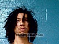 Recent Booking / Mugshot for WADE FREDRICK HERRELL in Halifax County ...