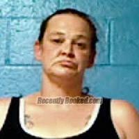 Recent Booking / Mugshot for MELISSA ANN JOHNSON in Halifax County ...