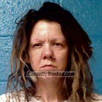 APRIL MICHELLE LESTER Arrest Record & Booking Info – Halifax County ...