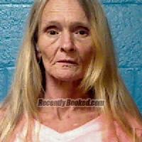 Recent Booking / Mugshot for RAVEN MELEINE PARRISH in Halifax County ...