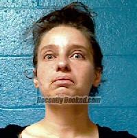 Recent Booking / Mugshot for LISA M SISK in Halifax County, North Carolina