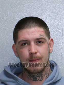 Recent Booking / Mugshot for ANDRE MICHAEL FRANSEN in Stephenson County ...