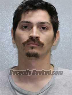 Recent Booking / Mugshot for ELIO MAURICIO MELARA in Stephenson County ...