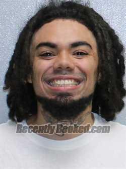 Recent Booking / Mugshot for ARIEAN KYLEE COLLINS in Stephenson County ...