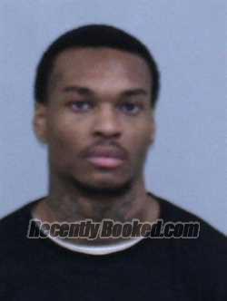 Recent Booking / Mugshot for TERRANCE TERRELL HOWARD in Stephenson ...