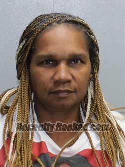 Recent Booking / Mugshot for DIANN ADAMS in Stephenson County, Illinois