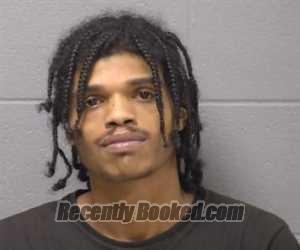 Recent Booking / Mugshot for TERRELL L FERRELL in Will County, Illinois
