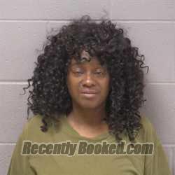Recent Booking / Mugshot for HEIDI E SPRINGER in Will County, Illinois