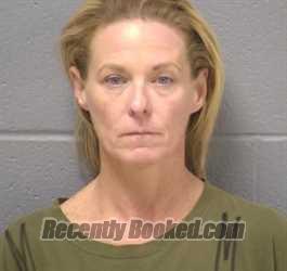 Recent Booking / Mugshot for COLLEEN MARIE ZUMERCHIK in Will County ...