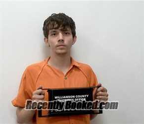 Recent Booking / Mugshot for JAMES ANTHONY LAMMERS in Williamson County ...