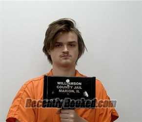 Recent Booking / Mugshot for DILLON M ROBINSON in Williamson County ...