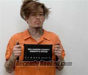 Recent Booking / Mugshot for WILLIAM ALEXANDER REED in Williamson ...