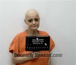 Recent Booking / Mugshot for AMY LEE TIGHE in Williamson County, Illinois
