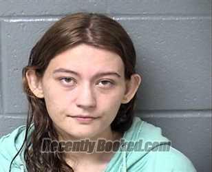Recent Booking / Mugshot for ANDREANA A M ROZEK in Woodford County ...
