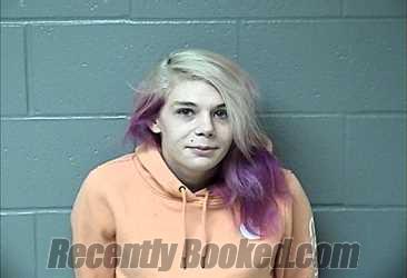 Recent Booking / Mugshot for DESTINY L CONFER in Woodford County, Illinois