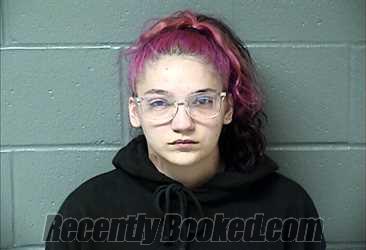 Recent Booking / Mugshot for JENNA R HILLER in Woodford County, Illinois