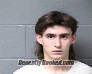 Recent Booking / Mugshot for JAYDEN J HOFSTATTER in Woodford County ...