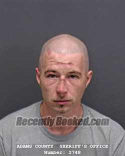 Recent Booking / Mugshot for BRANDON JOEL FELTON in Adams County, Indiana