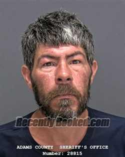 Recent Booking / Mugshot for ROCKY JOE WINGET in Adams County, Indiana