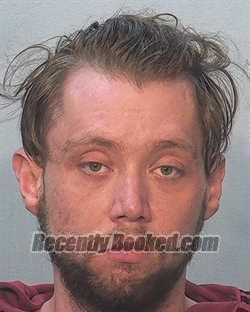 Recent Booking / Mugshot for Tyler Alexander Anderson in Allen County ...