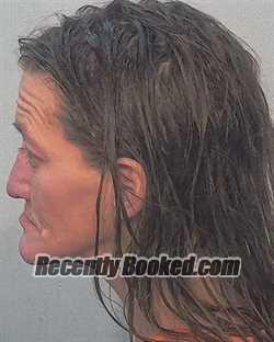 Recent Booking / Mugshot for Heather Jo Brickey in Allen County, Indiana