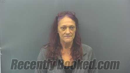 Recent Booking / Mugshot for LORI MICHELLE TURNER in Blackford County ...