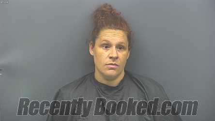 Recent Booking / Mugshot for SASHA FIELDS in Blackford County, Indiana