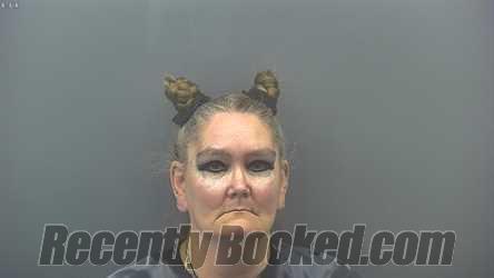 Recent Booking / Mugshot for HEATHER A. LENNARTZ in Blackford County ...