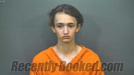 Recent Booking / Mugshot for Carter Douglas Gilbert in Boone County ...