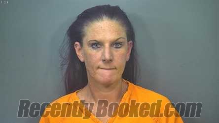 Recent Booking / Mugshot for Christina Nichole McCleery in Boone County ...