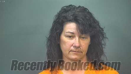 Recent Booking / Mugshot for Misty Michele Wilson in Boone County, Indiana