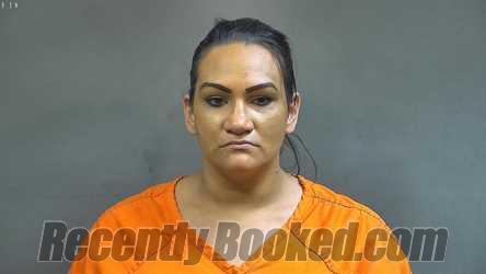Recent Booking / Mugshot for Rachel N Brisson in Boone County, Indiana