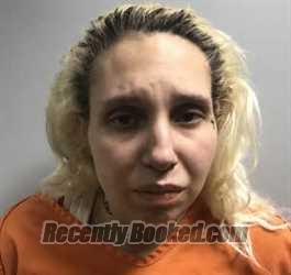 Annaleese Allison Raines Arrest Record & Booking Info – Haywood County ...