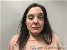 Michelle Theresa Mcdermott Arrest & Booking Info | Haywood County, NC