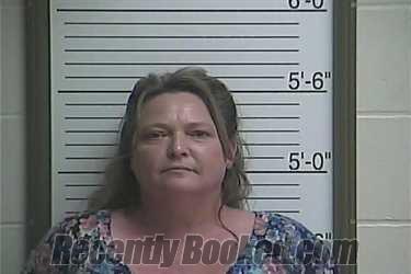 Recent Booking / Mugshot for CARRI MICHELE HARRIS-SPIRES in Brown ...