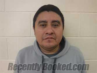 Recent Booking / Mugshot for NOE CAMBRAY-FERNANDO in Clay County, Indiana