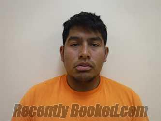 Recent Booking / Mugshot for EDEN AVILA-RAMIREZ in Clay County, Indiana