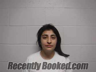 Recent Booking / Mugshot for ROMERO-GUTIERREZ, MITZY in Clay County ...