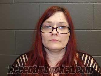 Recent Booking / Mugshot for Baysinger, Amber N in Clay County, Indiana