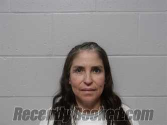 Recent Booking / Mugshot for GONZALES ALVA, FABIOLA MIRELA in Clay ...