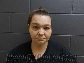Recent Booking / Mugshot for Allen, Heather L in Clay County, Indiana