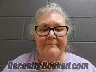 Recent Booking / Mugshot for Borders, Shelley Kay in Clay County, Indiana
