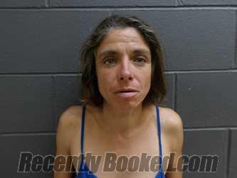 Recent Booking / Mugshot for Romine, Amy Lynn in Clay County, Indiana