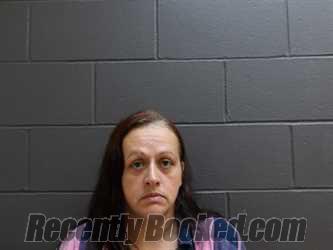 Recent Booking / Mugshot for Parsons, Crystal Lynn in Clay County, Indiana