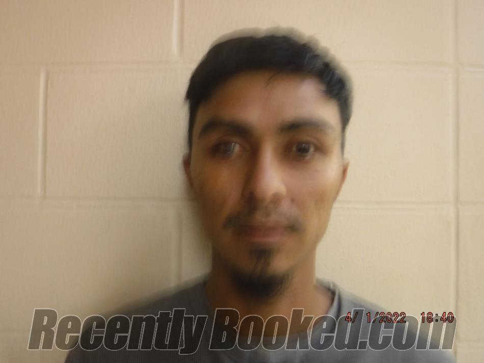 Recent Booking / Mugshot for ANGEL YANEZ-ARIAS in Clay County, Indiana