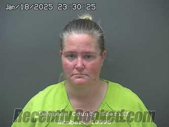 Recent Booking / Mugshot for CRYSTAL DAWN PAVEY in Daviess County, Indiana
